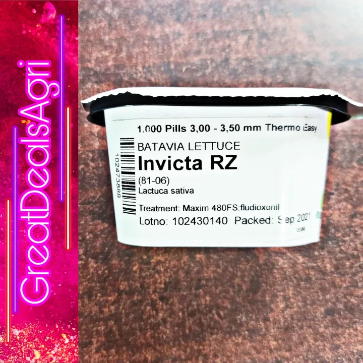 INVICTA RZ BATAVIA LETTUCE SEEDS (1000 PILLS) BY RIJK ZWAAN | Lazada PH