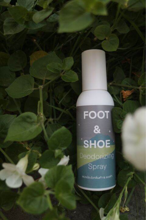 Foot & Shoe spray สเปรย์ฉีดรองเท้า ดับกลิ่นเท้า กลิ่นอับ | Lazada.co.th