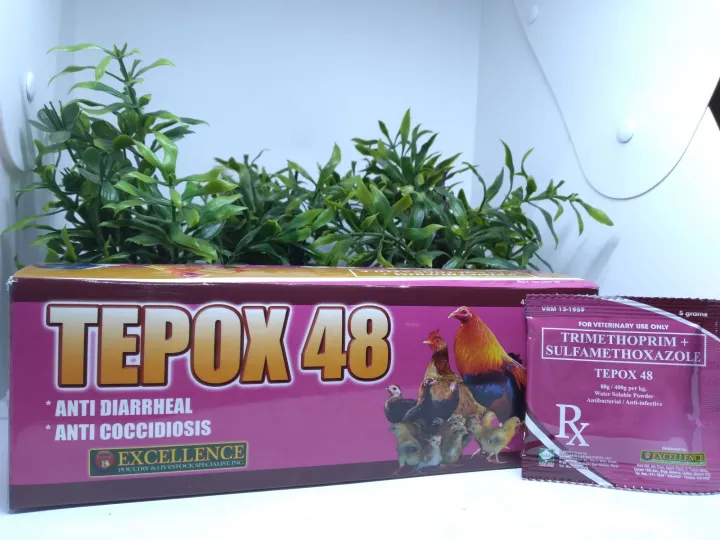Tepox 48 Trimethoprim + Sulfamethoxazole ( 5g ) | Lazada PH