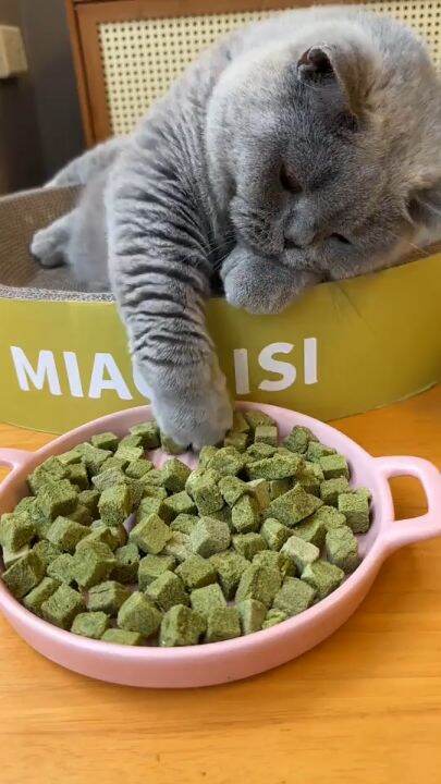 Pet World Freeze Dried Catnip Cube 500g / Catnip / Cat Treats | Lazada