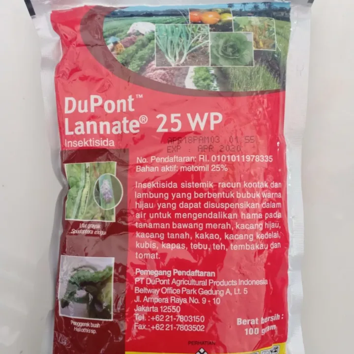 DuPont Lannate 25wp 100gr merah insektisida | Lazada Indonesia