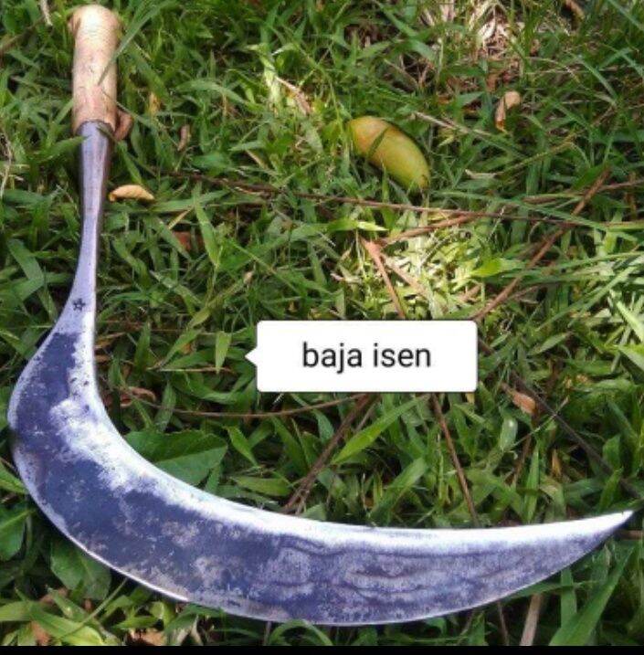 sabit baja isen/alat mencari rumput/alat memanen padi | Lazada Indonesia
