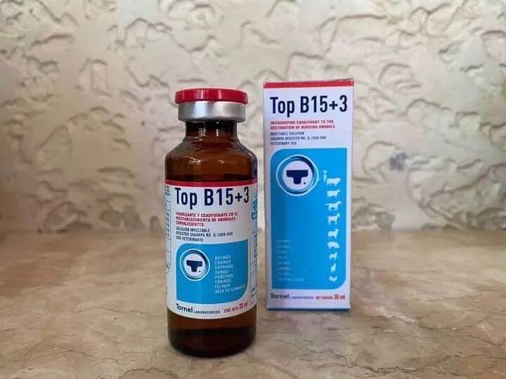 Tornel Top B15+3 30ml | Lazada PH