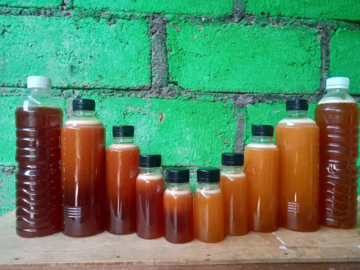 madu hutan asli Timor NTT | Lazada Indonesia