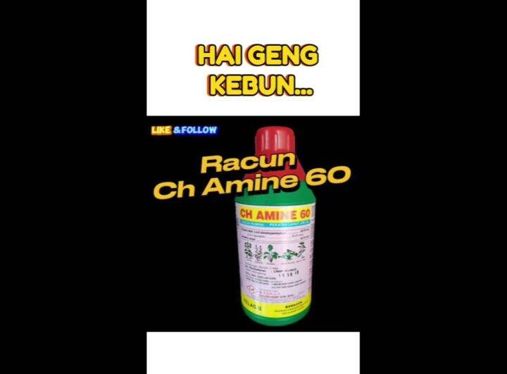 CH Amine 601Liter/4Liter 2,4-D-dimethylammonium 60% Racun Rumput ...