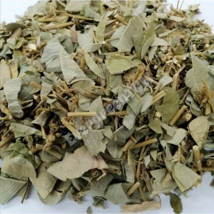 Lysimachia 金钱草 20g | Lazada