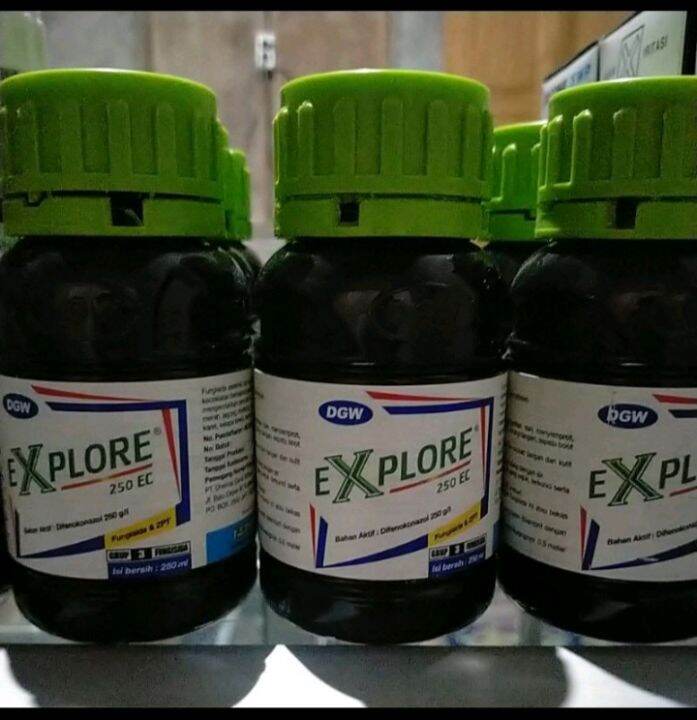 FUNGISIDA sistemik EXPLORE 250ec 250ml Dari DGW ( sukses bersama petani ...
