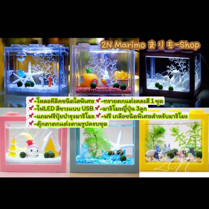 (พร้อมส่ง) มาริโมะ Marimo Set L ตู้เหลี่ยมมีไฟLED แถมฟรีอุปกรณ์ครบชุดพร้อมเลี้ยง | Lazada.co.th