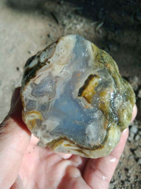 FOSIL KAYU YANG MENGKRISTAL UNIK | Lazada Indonesia