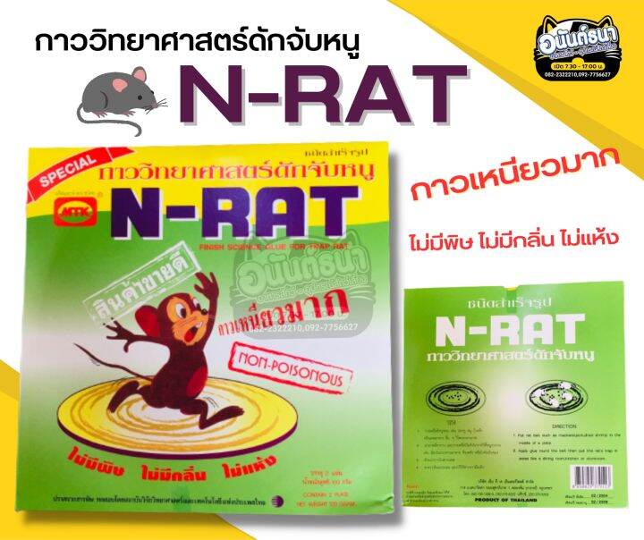 ดักหนู กาวถาดดักหนู / ถาดกาว N-RAT | Lazada.co.th
