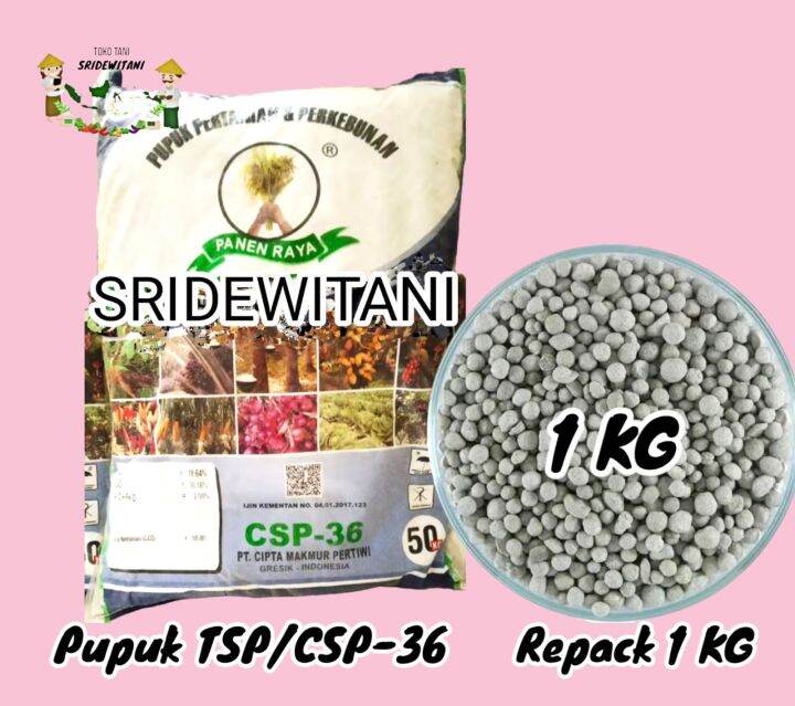 Pupuk TSP SP 36 CSP 1 KG Pupuk Penyubur semua Tanaman | Lazada Indonesia