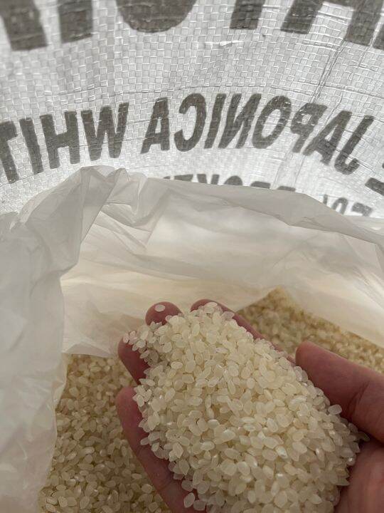 Beras Sushi (1kg) / Sushi Rice(Calrose Rice)( Japonica/Japanese Rice ...