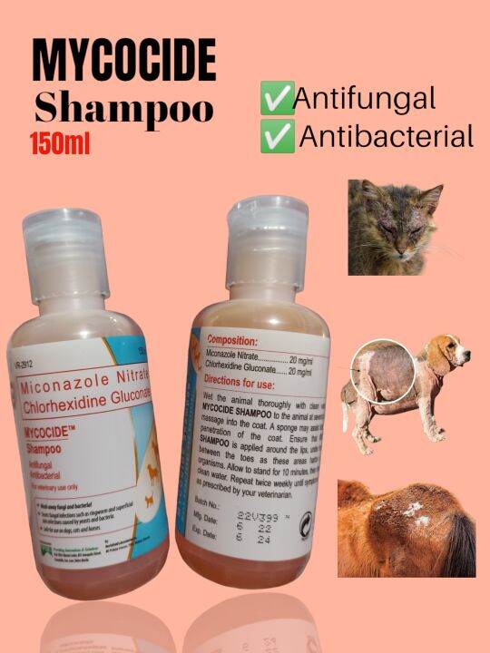 MYCOCIDE Shampoo for Dogs, Cats, Horses (Medicated-Shampoo) (15ml ...