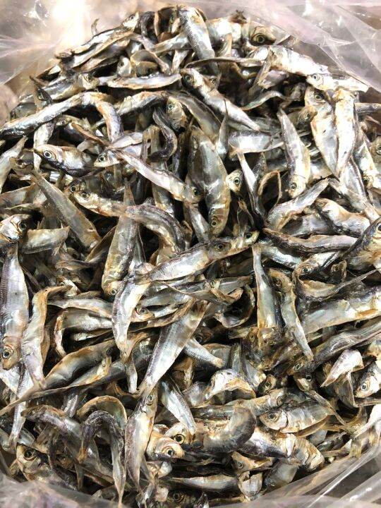 TAWILIS Dried (Unsalted fish) 500 grams | Lazada PH