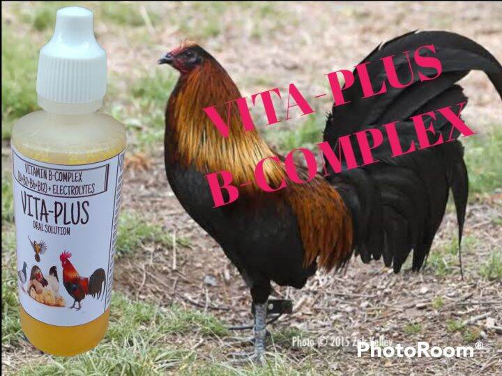 B-COMPLEX ORAL SOLUTION FOR GAMEFOWLS PIGEONS 60ML | Lazada PH