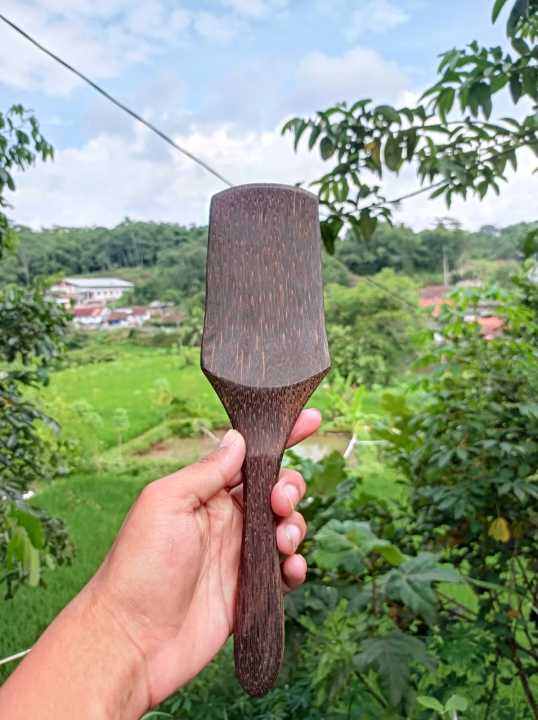Cukil Karih Nasi Bahan Kayu Aren | Lazada Indonesia
