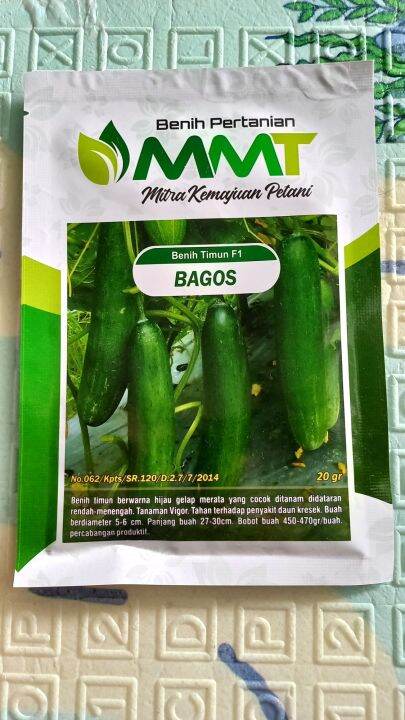 BENIH TIMUN BAGOS F1 MMT SEED 20 GRAM | Lazada Indonesia