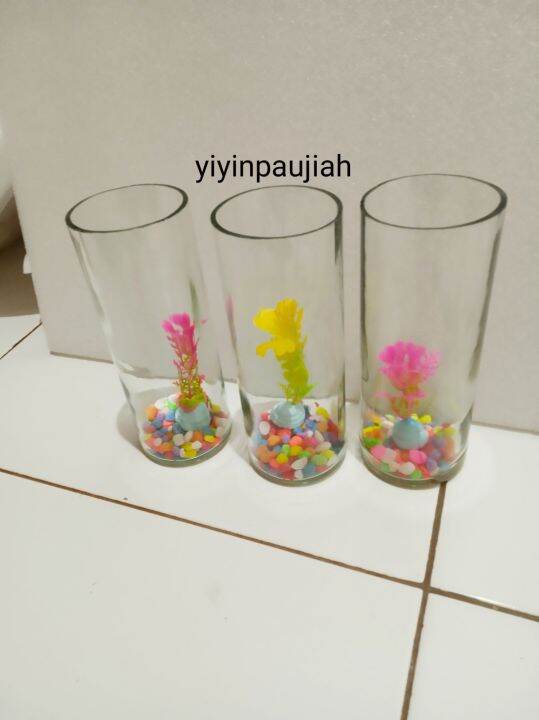 Botol ikan cupang Botol tabung botol kaca aquarium mini plus hiasan ...