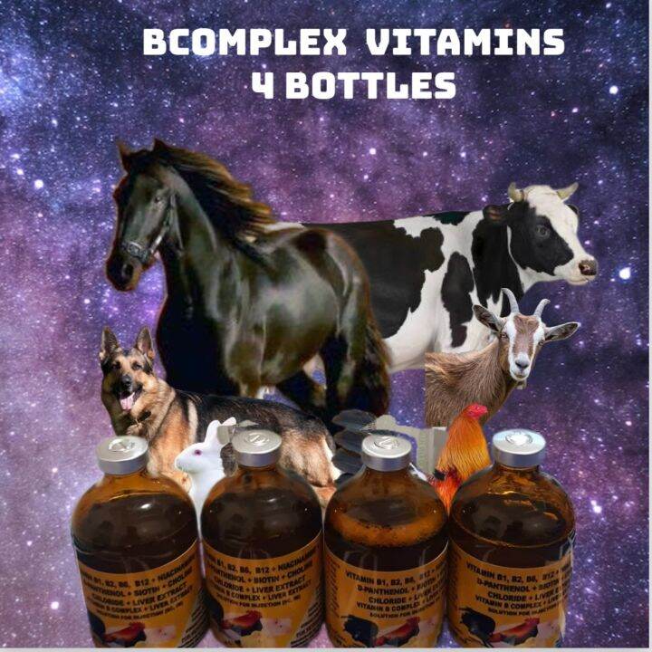 vitamin b complex 100ml 4 bottles | Lazada PH