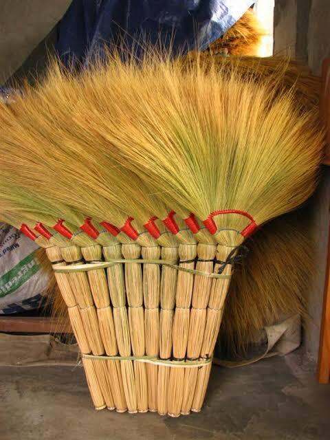 walis tambo soft broom from ilocos | Lazada PH