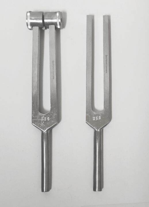 Tuning Fork #256/256C | Lazada PH
