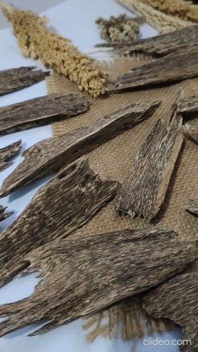 KAYU GAHARU SUPER SUMATRA TABII OUD AGARWOOD ORIGINAL PENGHARUM RUANGAN ...