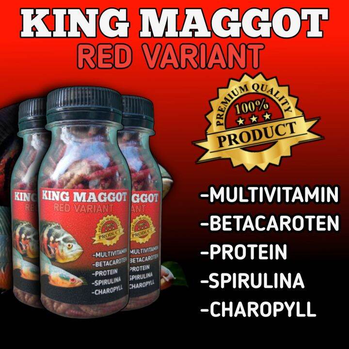King maggot RED pakan ikan channa variant 20 gram pakan predator oscar ...