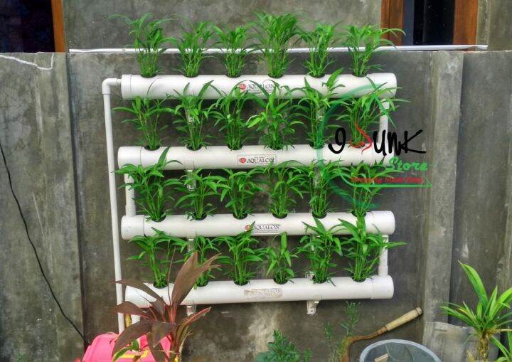 HIDROPONIK SET WALL- AQUALON 24HOLE | Lazada Indonesia