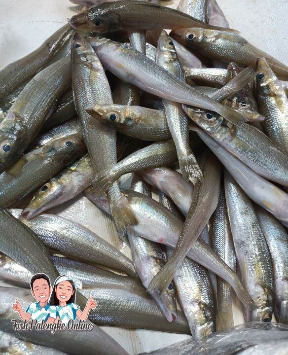 Asuhos, Asuhos Fish 1kg | Lazada PH