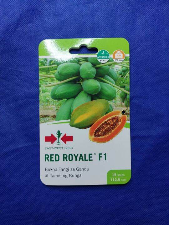 Red Royale F1 (15 seeds) Hybrid Papaya by East West Seed | Lazada PH