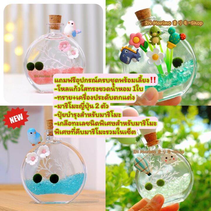 (พร้อมส่ง) มาริโมะ Marimo Set ขวดทรงพิเศษ มาริโมะ2️⃣ลูกกับชุดพร้อมเลี้ยง สาหร่ายตกแต่งตู้ปลา ...