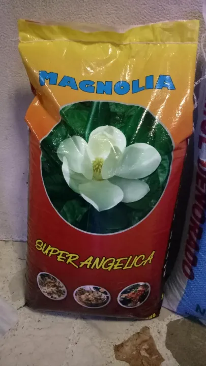 Magnolia Super Angelica Rice | Lazada PH