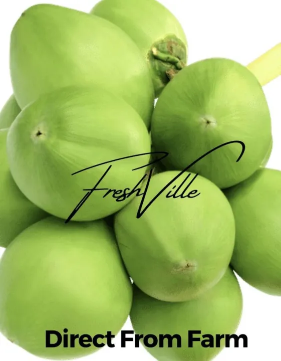 [ FreshVille ] 3 Biji Kelapa Pandan || 新鲜香椰 || Fresh Pandan Coconut ...