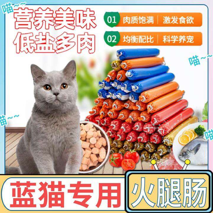 Blue and White British Shorthair Blue Cat Special Cat Snack Ham Sausage ...