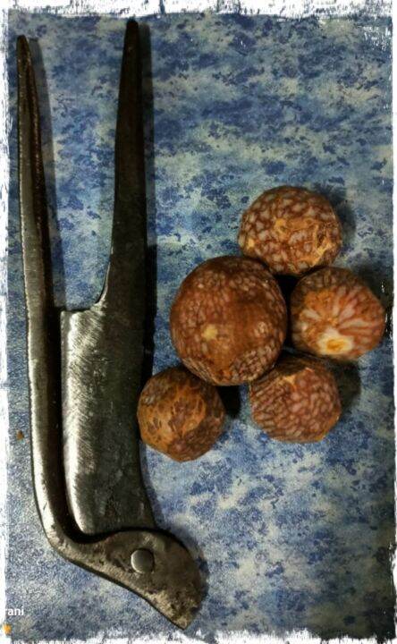 Kacip Pinang Tradisional | Lazada