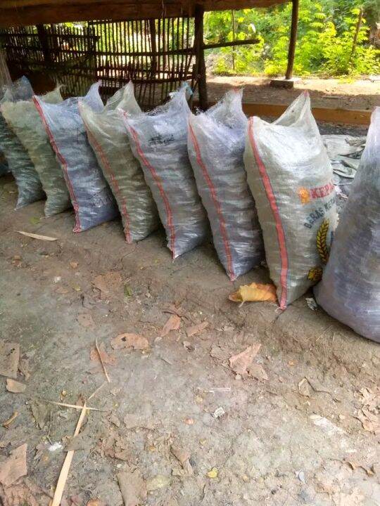 arang kayu bahan pembuat api bahan pemanggang isi sekarung 5kg | Lazada ...