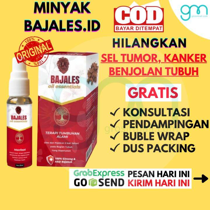 Bajales Id Original Obat Untuk Benjolan Membunuh Sel Kanker Dan Tumor ...