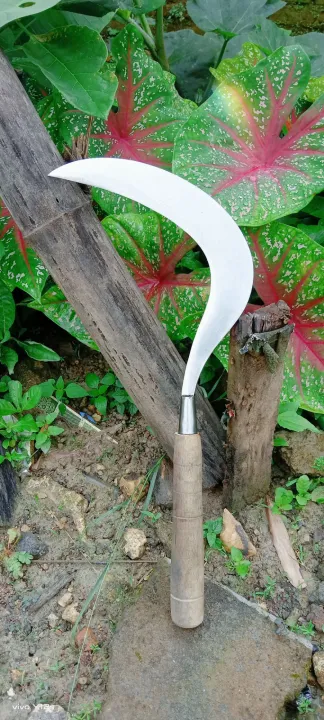 Arit Rumput baja super tajam dan bagus garapan rapi dan bagus | Lazada ...