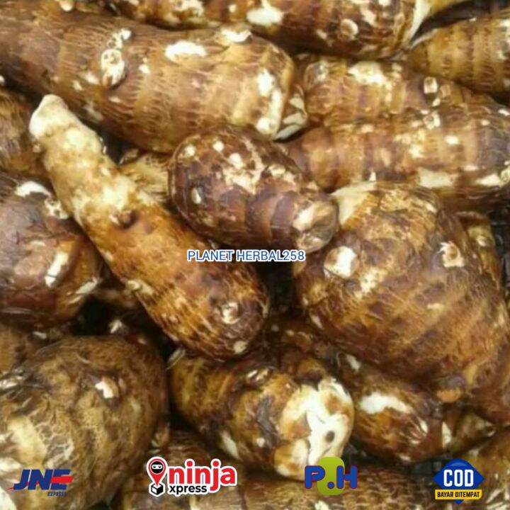 umbi talas kimpul talas pulen 1kg umbi talas | Lazada Indonesia