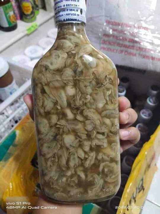 SISI TALABA AT GINAMOS | Lazada PH