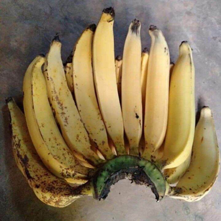 Pisang Bawen mateng 1 Kg | Lazada Indonesia