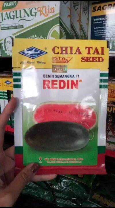 Benih Semangka REDIN 20gr Cap Kapal Terbang | Lazada Indonesia