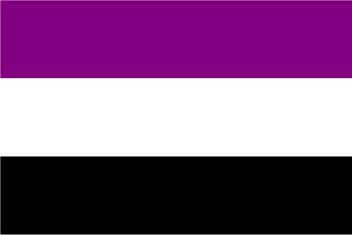 BENDERA FLAG UNGU PUTIH HITAM | Lazada Indonesia