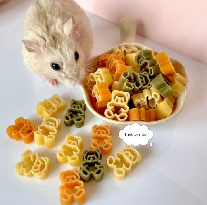 Pasta hamster (teddy bear) | Lazada Indonesia