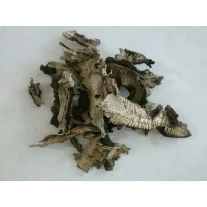 Chuan niu qi radix cyathulae medicinal cyathula root 100 gram | Lazada ...