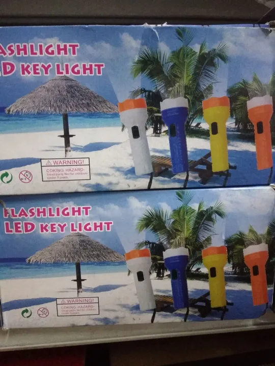 Small Flashlight Led keylight 1 pcs. 4 colors | Lazada PH