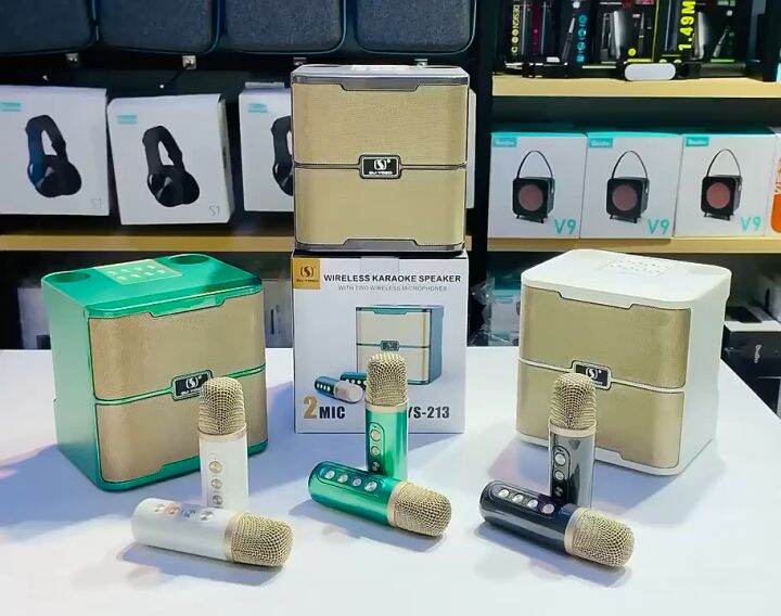 120W Portable Professional Karaoke Dual Microphone YS-213 Bluetooth ...