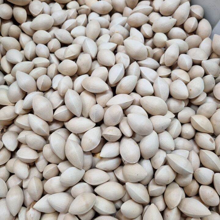 [N.G] 500g Gingko Nuts 白果 (non-blenched) | Lazada Singapore
