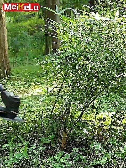 Meikela COD Makita แบตเตอรี่แบบชาร์จไฟสากลเลื่อยไฟฟ้าสว่านไฟฟ้าเครื่องตัดหญ้าไฟฟ้าเครื่องบดมุม ...