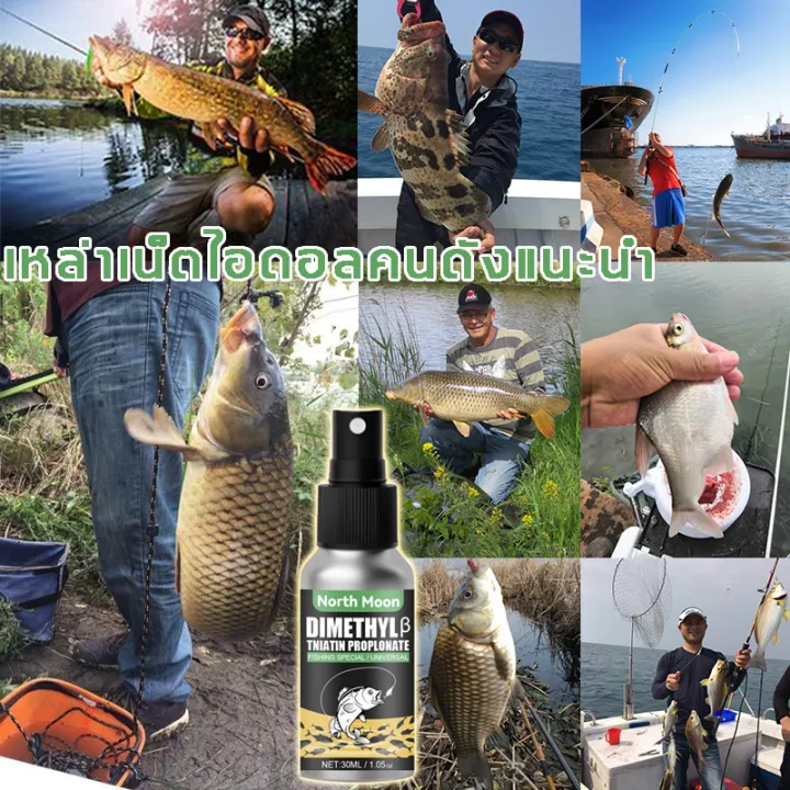 North Moonหัวเชื้อล่อปลา🔥เหมาะสำหรับปลาทุกชนิด🔥จับได้เร็ว🔥(หัวเชื้อตก ...